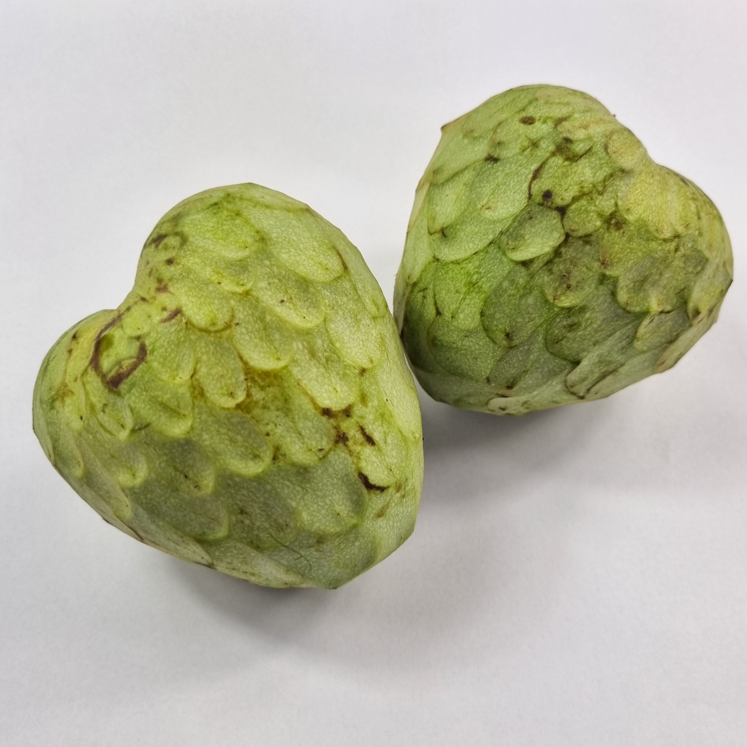 André's kleine Exotenkunde: Cherimoya